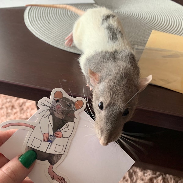 Lab Rat Vinyl Sticker - Etsy