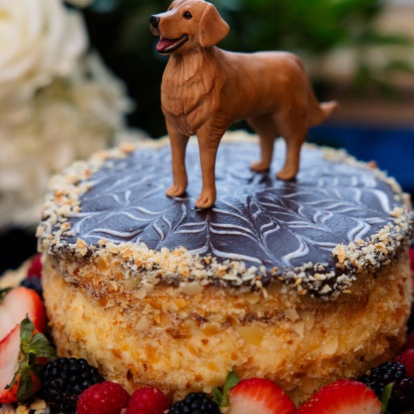 Personalized Custom Dog Wedding Cake Topper , Pet Cake Topperpets ...