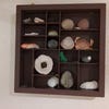 Wooden Curiosity Cabinet Printer Tray Letterbox Display, Rock Display ...