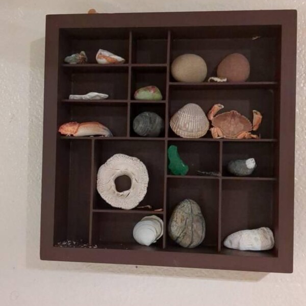 Wooden Curiosity Cabinet Printer Tray Letterbox Display, Rock Display ...
