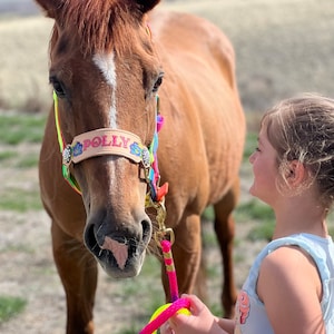 Rainbow Skinny Bronc Rope Halter and Lead Rainbow Stitching - Etsy