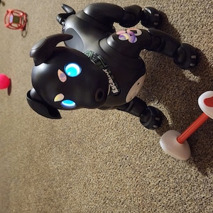 Vinyl Aibo ERS-1000 Head Decal Stickers - Etsy