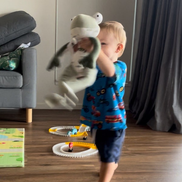 Frog Memory Bear, Keepsake Teddy, Stuffed Teddy Keepsake, Keepsake Bear ...