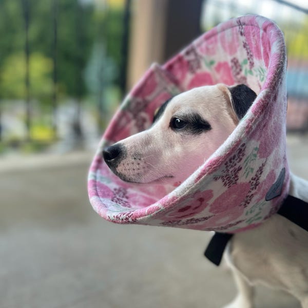 Fabric Dog Cone, Pink Flower Print, Comfortable Soft Medical Cone for ...