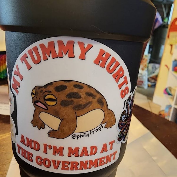My Tummy Hurts and I’m Mad at the Government - Screaming Desert Rain ...