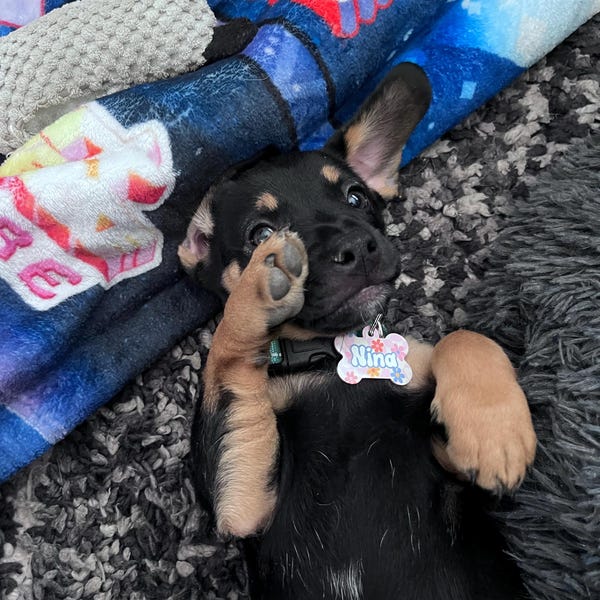 Retro Smiley Dog Tag Retro Dog Tag Pet Tag Custom Dog Tag Personalized ...