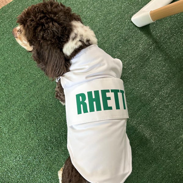 Golf Caddie Bib for Dogs With Name Badge on Back of Caddy Bibs White ...