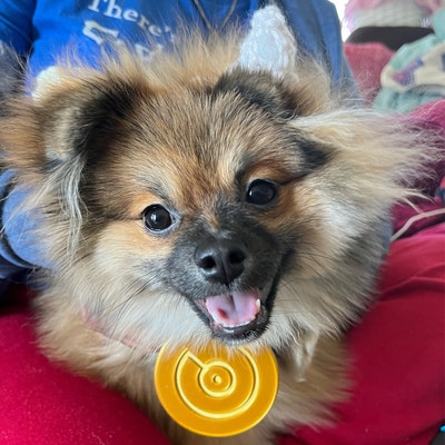 The Owl House Cosplay King's Collar TOH King Collar Keychain TOH King ...