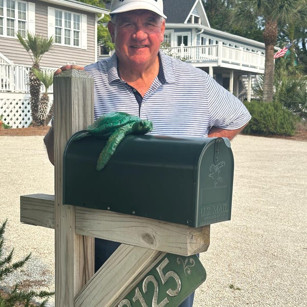 Toon Turtle Mailbox Topper - Customizable Colors! - Etsy