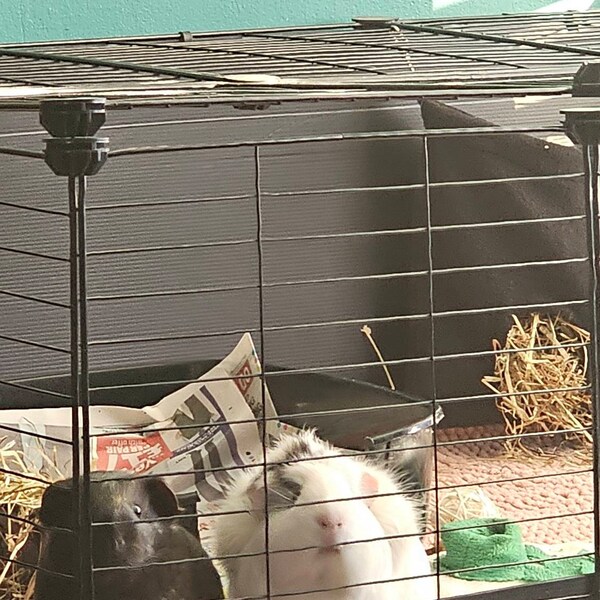 Padded Cotton Blanket Set for Ikea Dolls Bed Bunny Rabbit Blanket Pet ...