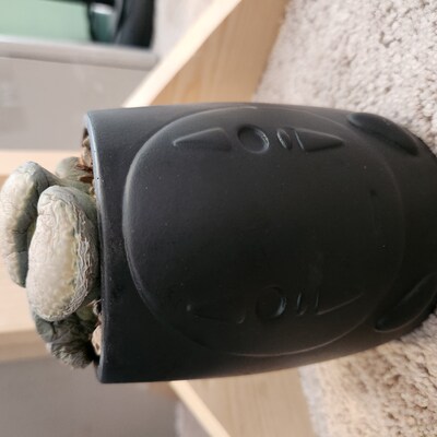 Concrete Display Stand Mini Cinder Block Display Stand Cinder Block ...