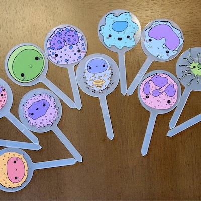 Cute Bacteria Shapes Morphology Arrangement Clip Art Digital Download ...