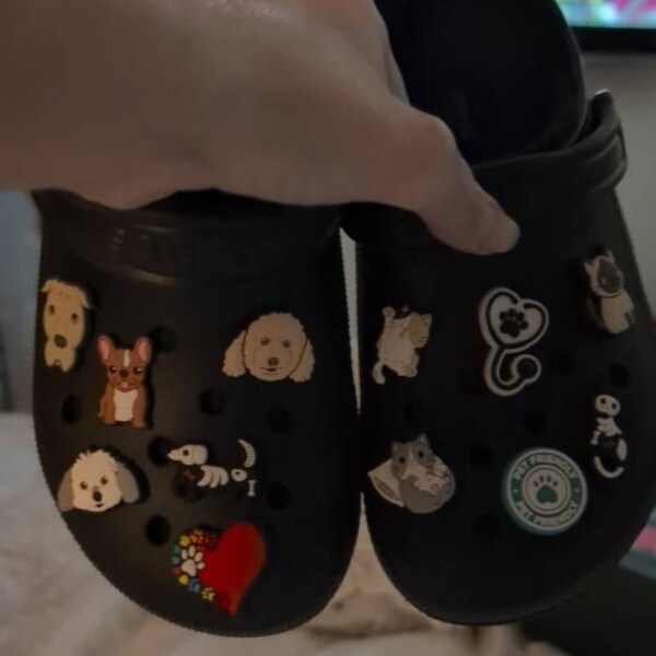 Unicorn Croc Charms, Girl Croc Charms Cute Charms for Shoes, Clog ...