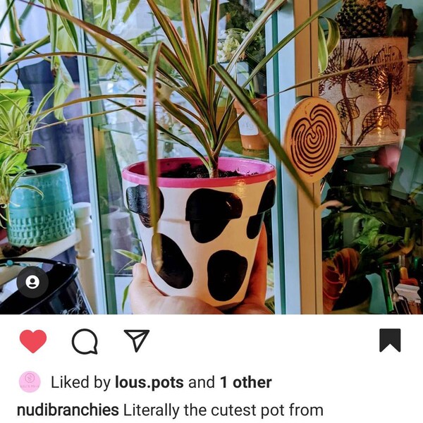 Hand Painted Baby Blue Bumble Bee Indoor Plant Pot, Terracotta Planter ...