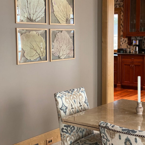 1 Framed Sea Fan Art - Custom Color - Etsy