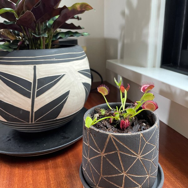 Carved Triangles- Handmade Ceramic Succulent Pots Clay Pottery Planters ...