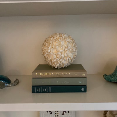 Blue and White Books Coastal Books Beach Books Decorative Books Staging ...