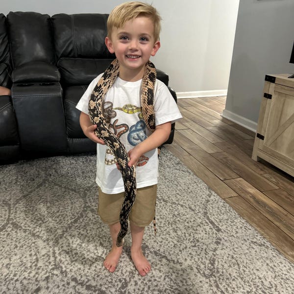 Personalized Birthday Shirt, Reptile Party Long Sleeve Shirt for Kids ...