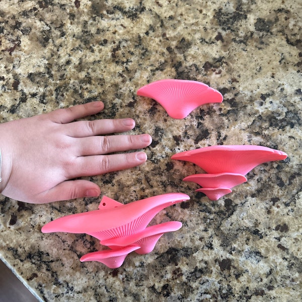 Enchanting Mushroom Grove Floating Shelves | Cottage Core | Fairy Home ...