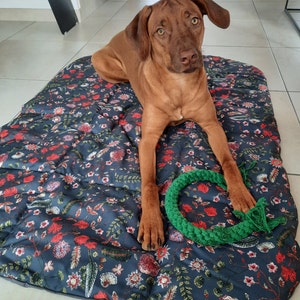 Travel Mat for a Dog Outdoor Dog Mat Roll up Dog Mat | Etsy