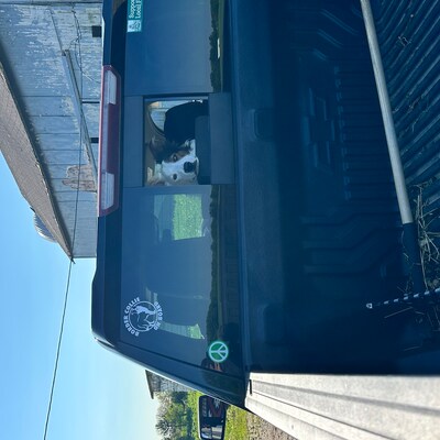 Your Stick Family Drowned in My Saint Bernard's Drool DC377FAM High ...