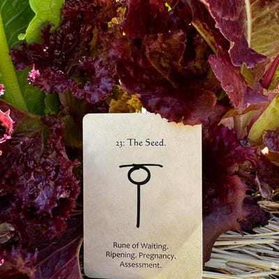 Airmid Story Goddess Sculpture statue, Figurine, Celtic, Healing ...