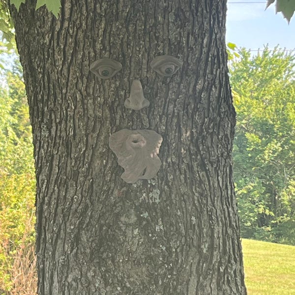 Simon Tree Face: Handcrafted Concrete Garden Decor - Etsy