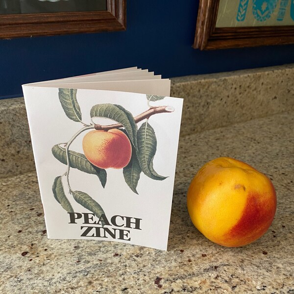 Treasured & Forgotten 8 Recipe Zine Fruit - Etsy
