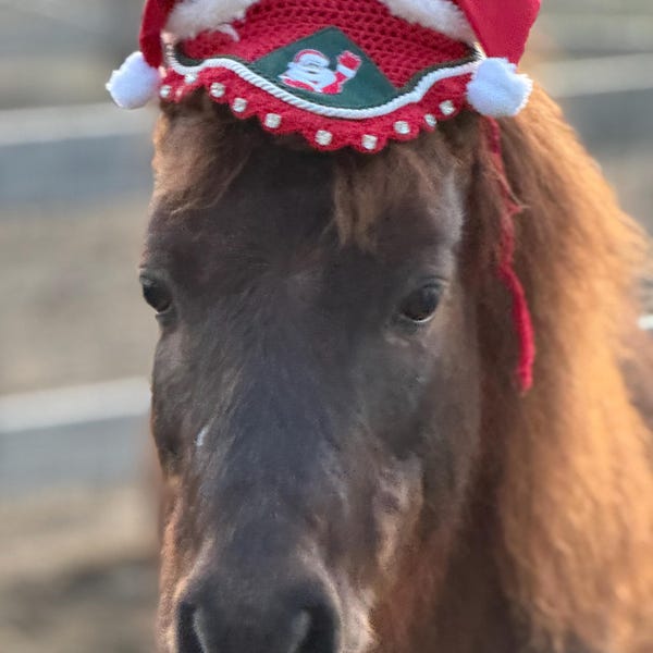 Hand Made Christmas Santa Claus Horse Ear Bonnet Fly Veil Cotton ...