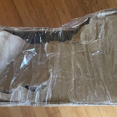 Super Blue Liriope, Liriope Super Blue - Etsy