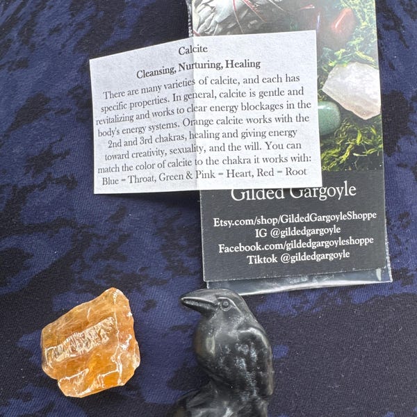 Bobcat Claw, Throwing Bones, Oddities, Curiosities, Ethically Sourced ...