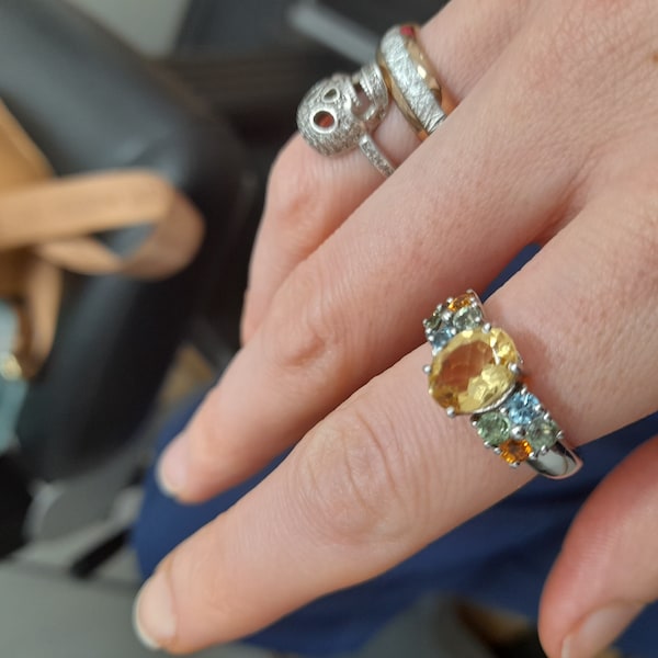 Royal Ontario Museum Brooch. Part of a Collectable Series of Brooches ...