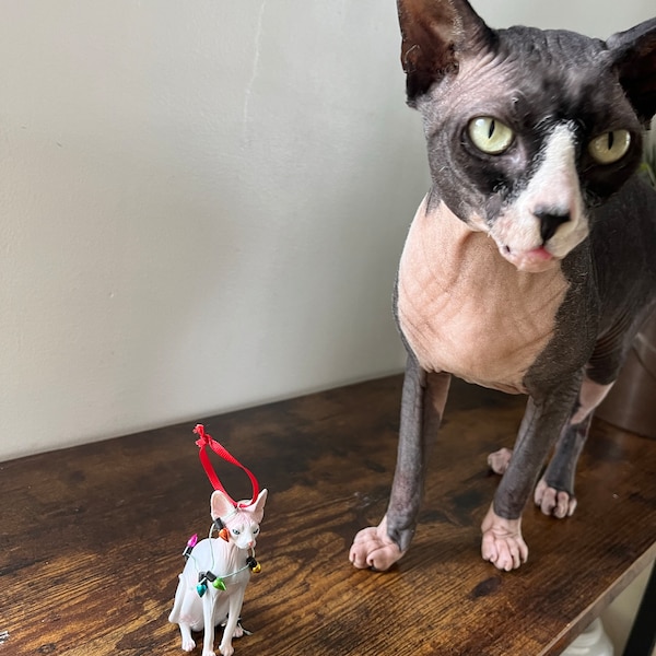 Sphynx Cat Breed Holiday Ornament - Etsy UK