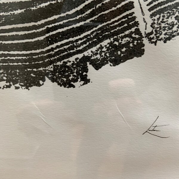 Ohio State, Ash Tree, Tree Ring Print, Woodcut Print, Lumber, Live Edge ...