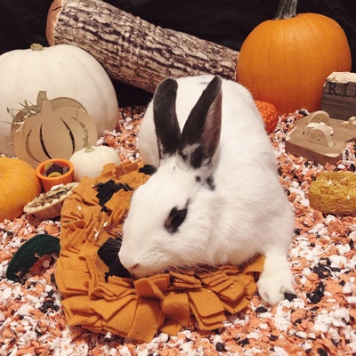 Bunny Snuffle Mat & Homemade Treats for Rabbit Foraging Mat - Etsy