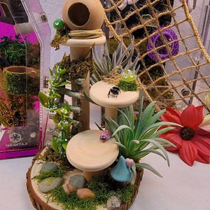 Jumping Spider Enclosure 5x5x9 Spider House, Spider Tank, Spider ...