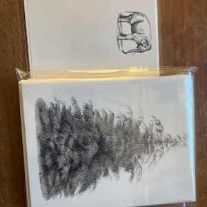 Pine Tree Note Card Set of 10 in White or Light Ivory With Matching ...