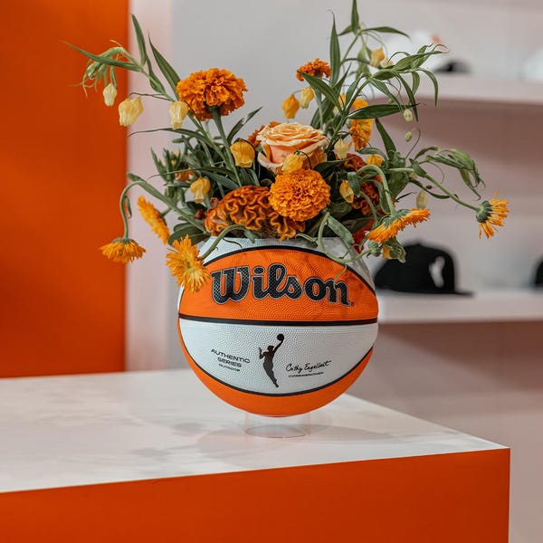 Plntrs - WNBA Wilson Authentic Series Basketball Planter - New Ball ...