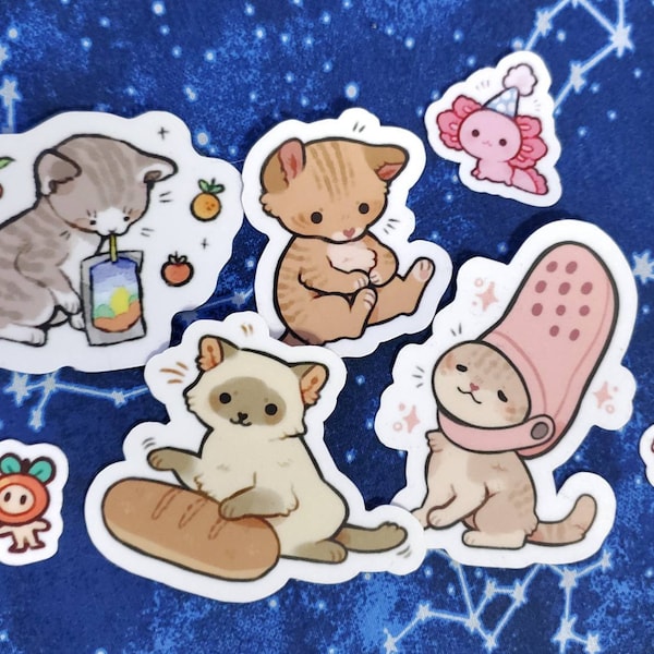 Feline Friends Sticker Set of 4 / Cat Meme Stickers / Kitten Stickers ...