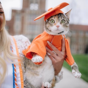 Princess Peach Dog Costume Mario Kart Costume Halloween Dog - Etsy