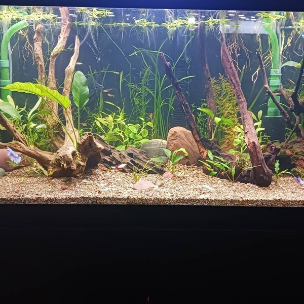 4-5lbs River Rocks Colorful Stones Smooth Aquarium Rocks Terrarium ...