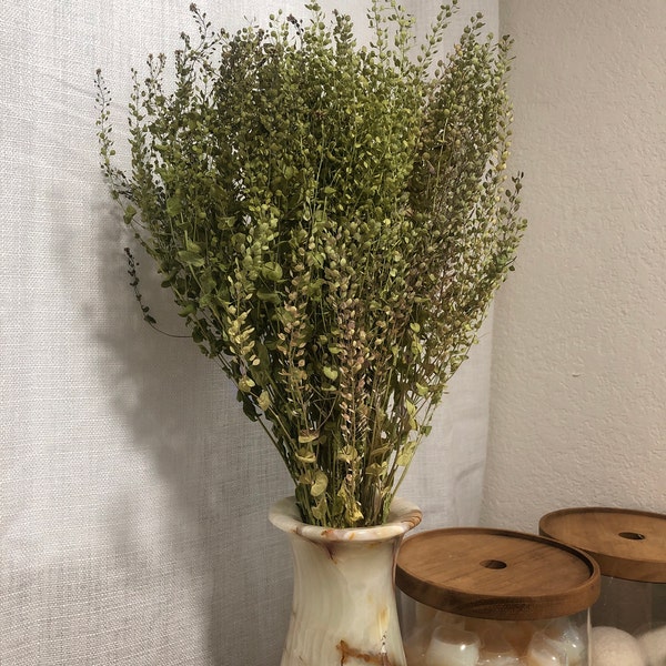 Dried Pepper Grass, Lepidium, Dried Grass, Grass Bunch, Green Grains ...