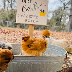 Chicken Coop Name Signcustom Name Platechicken Coop Signname Addition ...