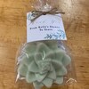 Succulent Soaps Wedding Favors Bridal Shower Handcrafted - Etsy