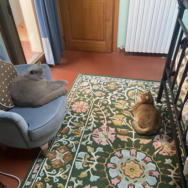 Sketch Rug Multicolored Thick Hand-tufted Wool Area Rug/carpet for ...