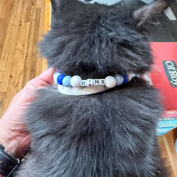 Custom Beaded Cat Name Collar, Fancy Designer Kitty Necklace ...