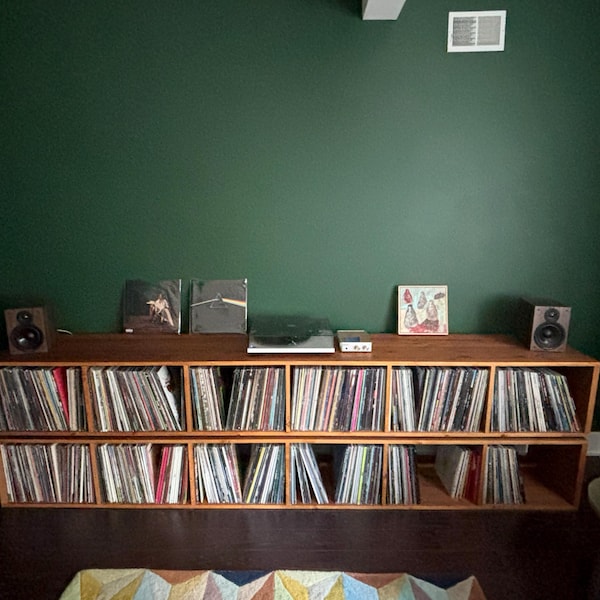 Vinyl Record Storage Cabinet for Collectors Two Tier - Vinyl Storage ...