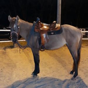 Handmade Bosal Set, 40 Plaits Rawhide Natural Bosal Set, Bosal Set ...