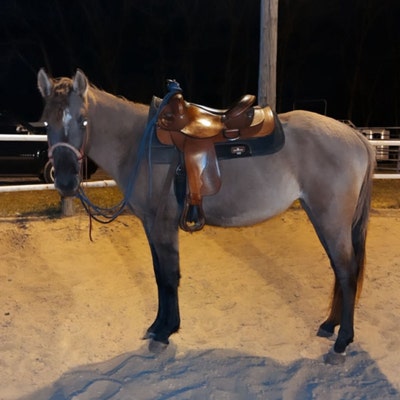 Handmade Bosal Set, 40 Plaits Rawhide Natural Bosal Set, Bosal Set ...