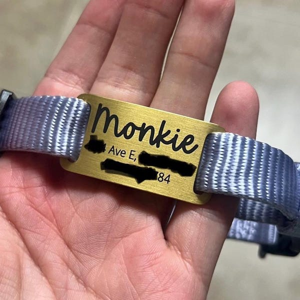 Initial Collar Charm - Letter Tag, Pet Collar Charm, Personalized Pet ...